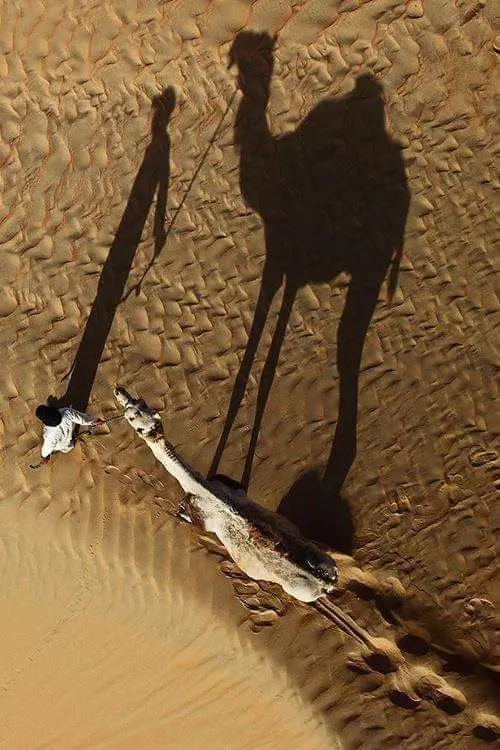Top Morocco Excursions & Day Trips 2026 | Local Private Guides